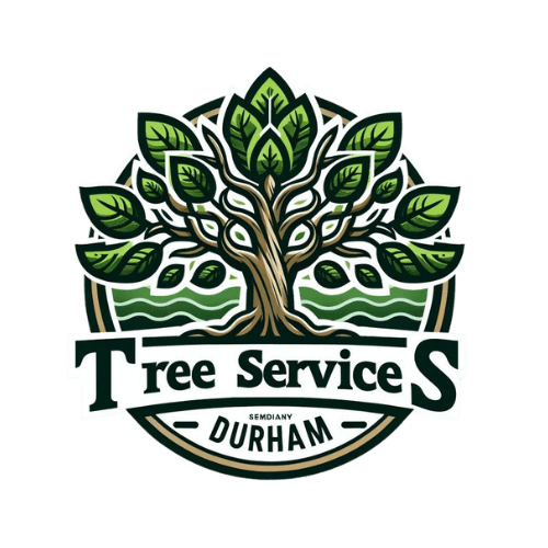 Tree Surgeon In Langley Park - Tree Services Durham