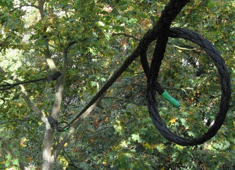 Cobra Bracing In Durham: Protecting Your Trees - Tree Services Durham